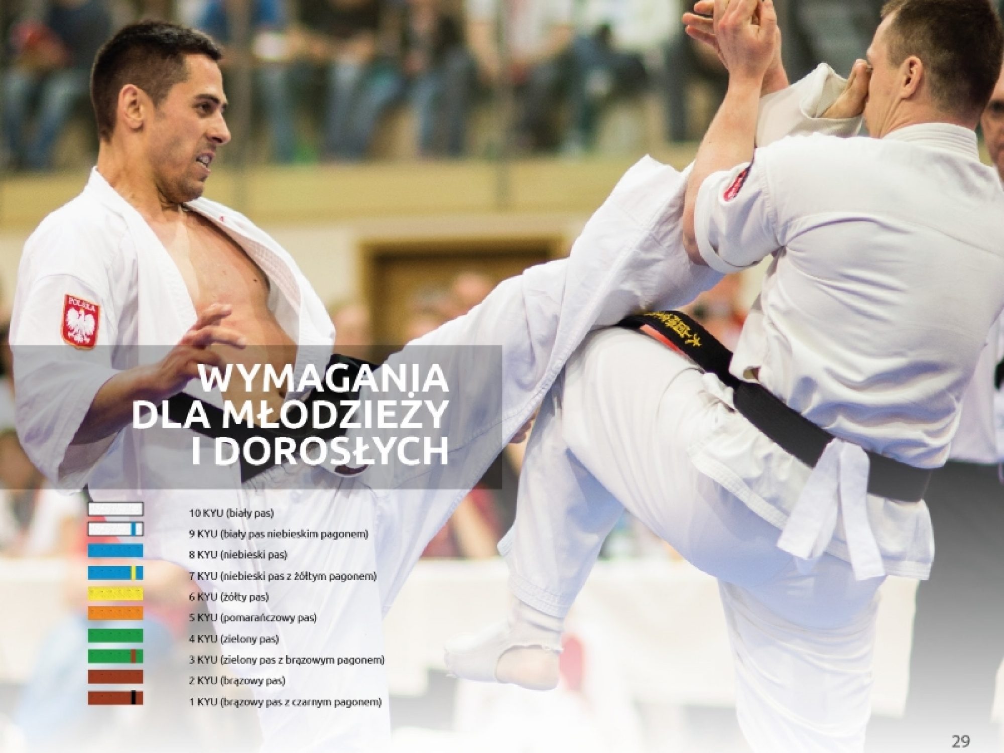 Stopnie Karate Oyama - Kasperek Kumite Team